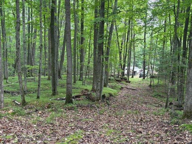 W15795 Fawn Acres Rd, Goodman, WI 54125