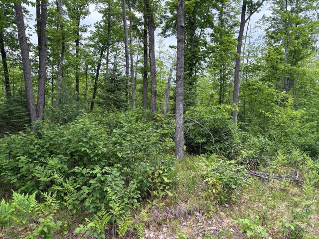W15816 fawn acres road