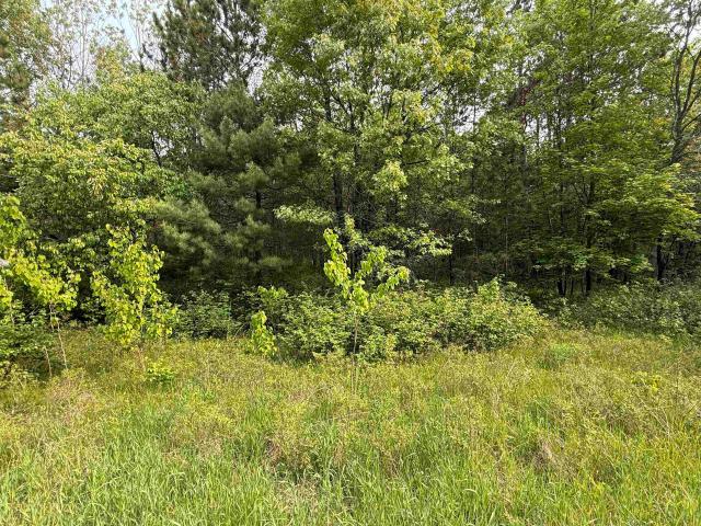 W1926 Great Bear Rd, Keshena, WI 54135 | MLS #50309 | Compass