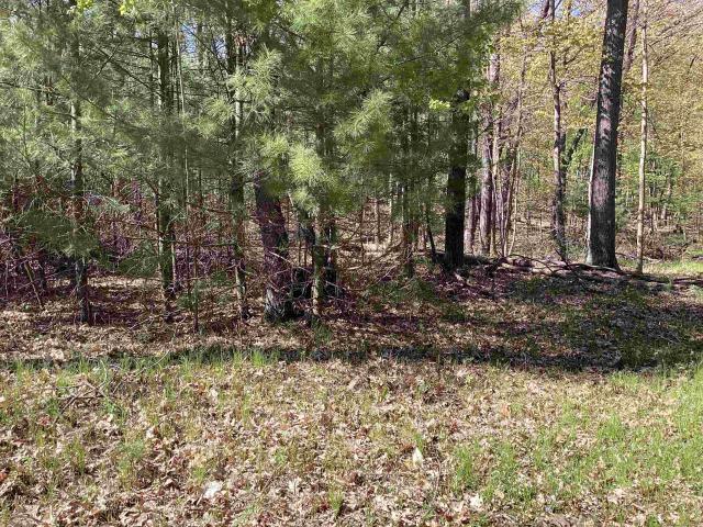 W3006 RIDGE Road