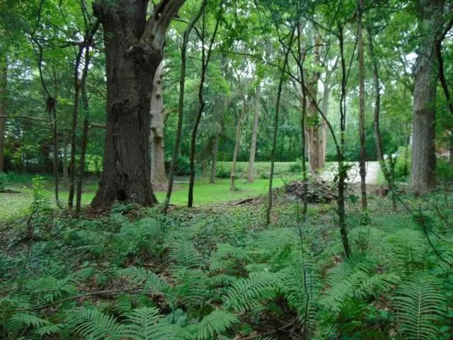W302S10141 Oconee Dr, Mukwonago, WI 53149 MLS 1887456