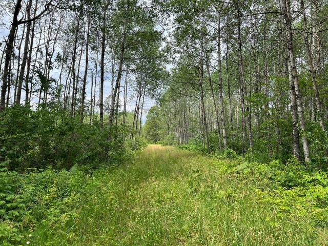W37 xx Frog Creek Rd, Minong, WI 54859 | MLS #7005