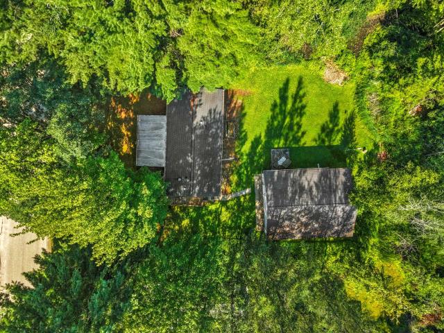 W5242 white birch road