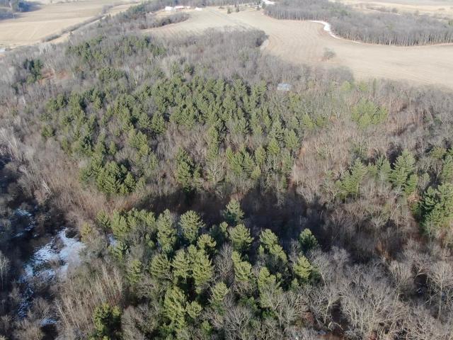 W7113 Leigh Rd, Mauston, WI 53948 | Compass