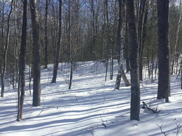 W9795 Makwa Ct, Unit 62, Athelstane, WI 54104 | MLS #50303 | Compass