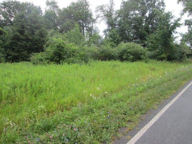 W Muskrat Rd, Sidney, MI 48885