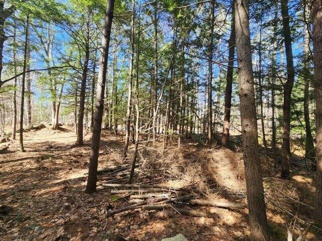 W Main St Lot, Hillsborough, Plot For Sale