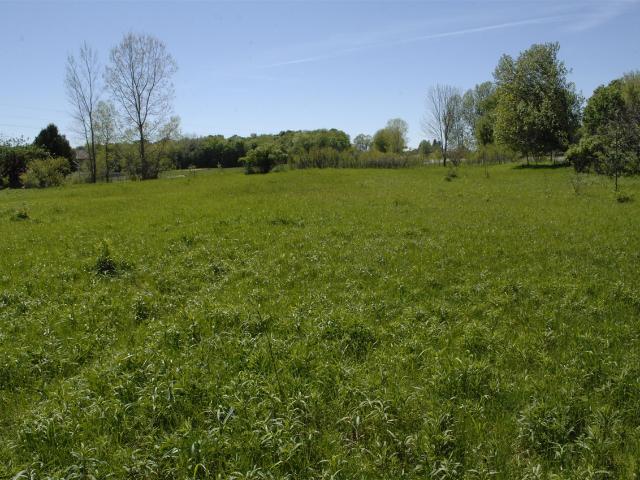 W Marshville Dam Road