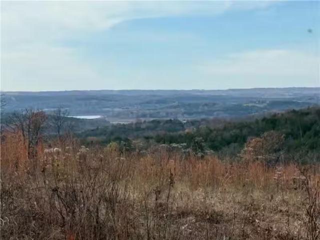 w MC 2027 ROAD, LEAD HILL, AR 72644 Vacant Land For Sale MLS#.
