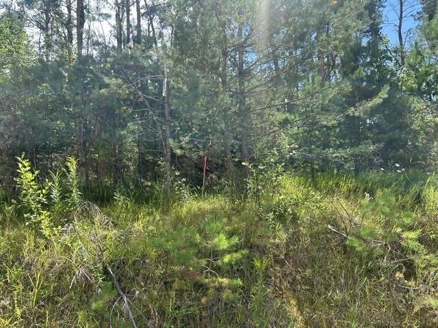 W McCoy Rd Parcel 5, Gaylord, MI 49735