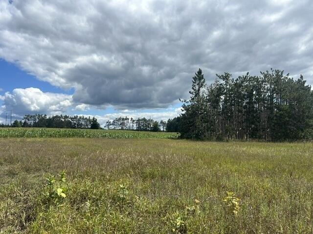 W McCoy Rd Parcel 3, Gaylord, MI 49735