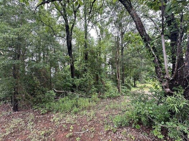 W Meredith St, Marshall, TX 75670
