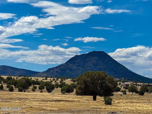 W Mile High 10 Acres Rd Lot C, Ash Fork, AZ 86320