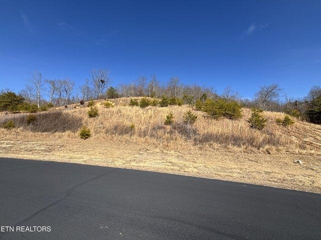 W Mountain Dr, Rockwood, TN 37854
