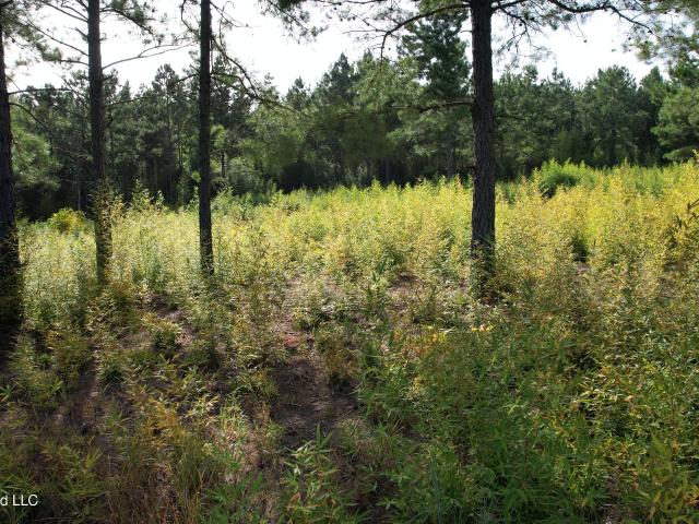 W Of Hwy 569, Liberty, MS 39645