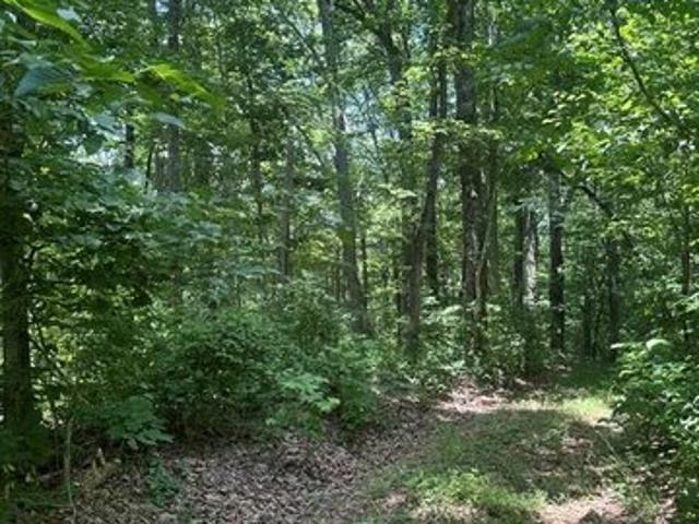 W Of Ward Fork Rd, Whitleyville, TN 38588