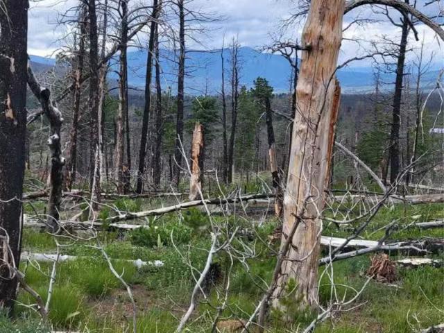 w OHLSTETTER LOOP, FORT GARLAND, CO 81133 Vacant Land For Sale.