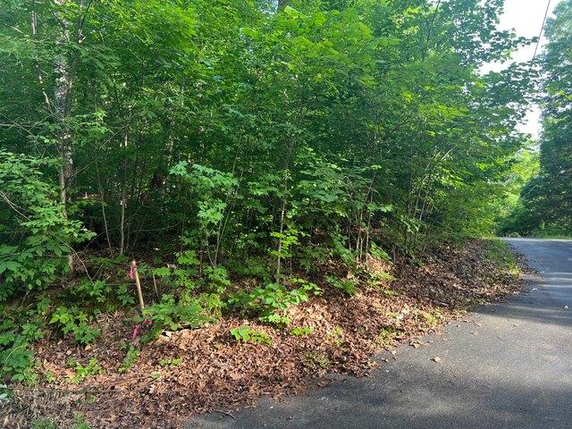 W Old Jamestown Rd, Russell Springs, KY 42642