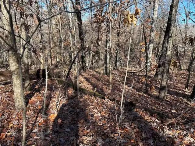 w OODHALL LANE, BELLA VISTA, AR 72714