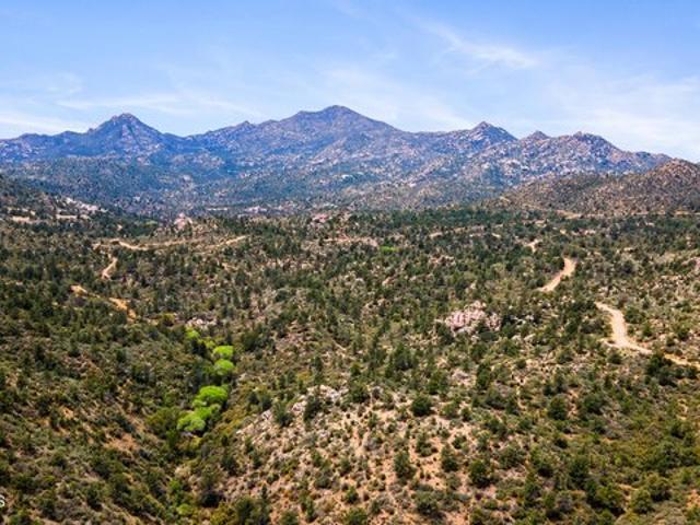 W Appaloosa Trl Lot 123, Peeples Valley, AZ 86332