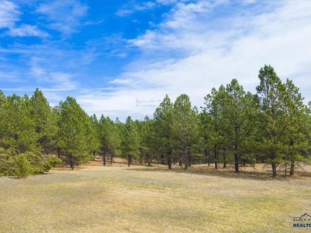 W Argyle Rd, Custer, SD 57730