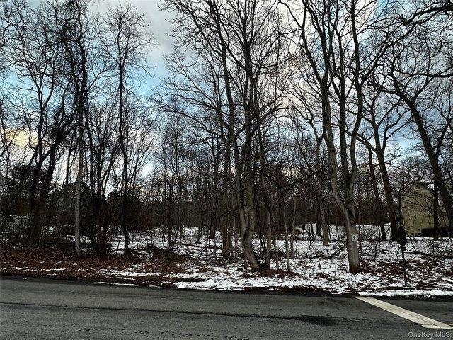 W Bartlett Rd, Middle Island, NY 11953