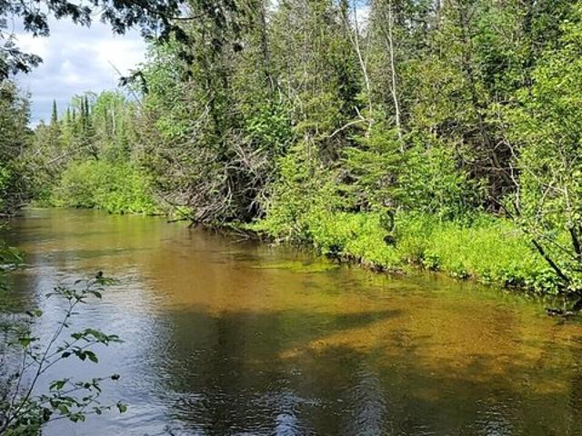 W Batterson Rd Lot 30, Frederic, MI 49733