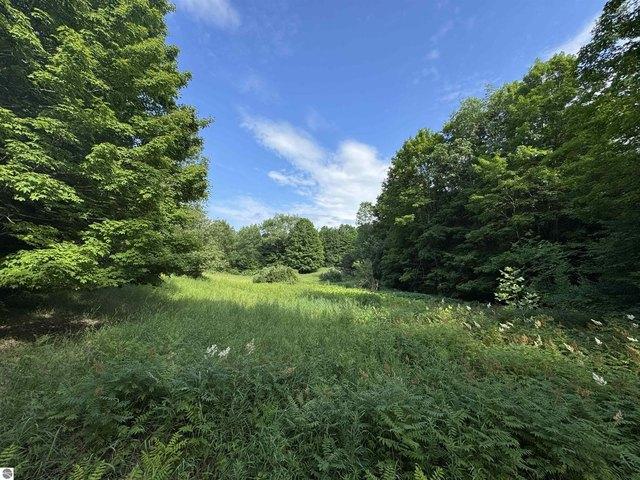 W Beeman Road Creek Rnch Unit Wells, Empire, MI 49630