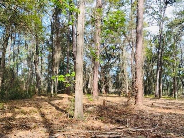 W Black Island Rd SE, Darien, GA 31305