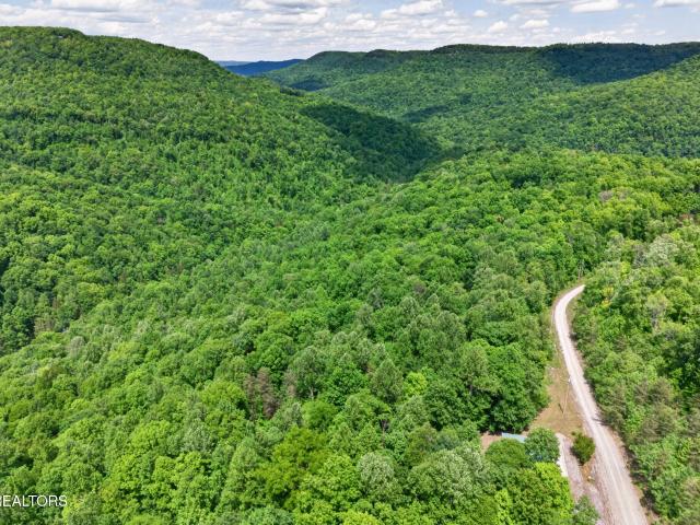 W Bobcat Lane, Wilder, TN 38589