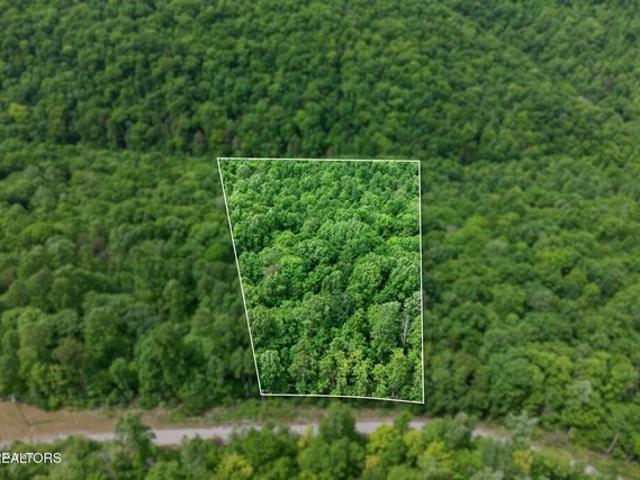 W Bobcat Ln, Wilder, TN 38589