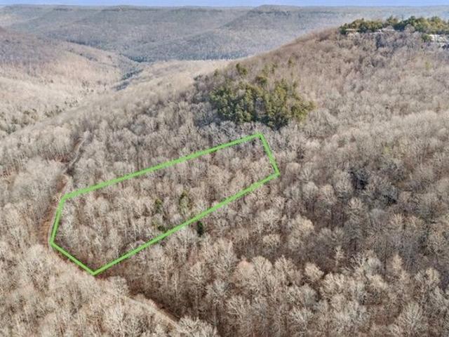 W Bobcat Ln, Grimsley, TN 38565