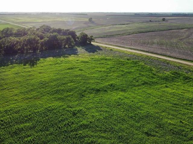 W Boundary Rd, Pretty Prairie, KS 67570