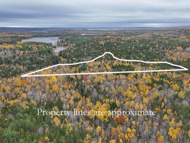 W Branch Rd Lot B, Mariaville, Plot For Sale