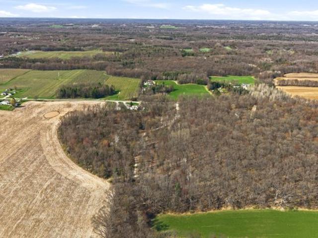 W Bricker Rd, Belding, MI 48809
