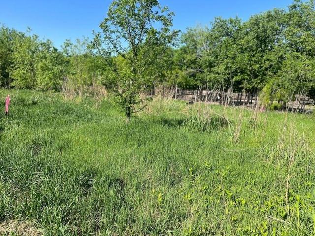 W Brook Stlot # 2, Bartlett, TX 76511
