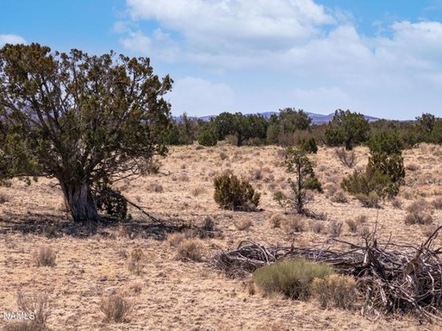 W Calle Adan, Seligman, AZ 86337