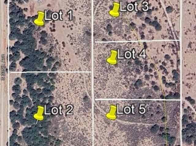 W Carver Rd Lot 5, Arlington, AZ 85322