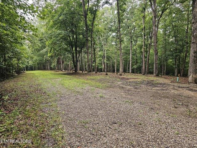 W Catoosa Canyon Dr, Crossville, TN 38571