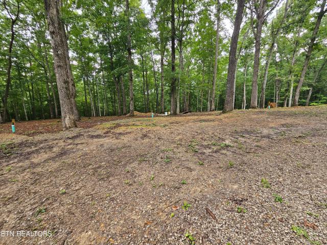 W Catoosa Canyon Dr Drive, Crossville, TN 38571