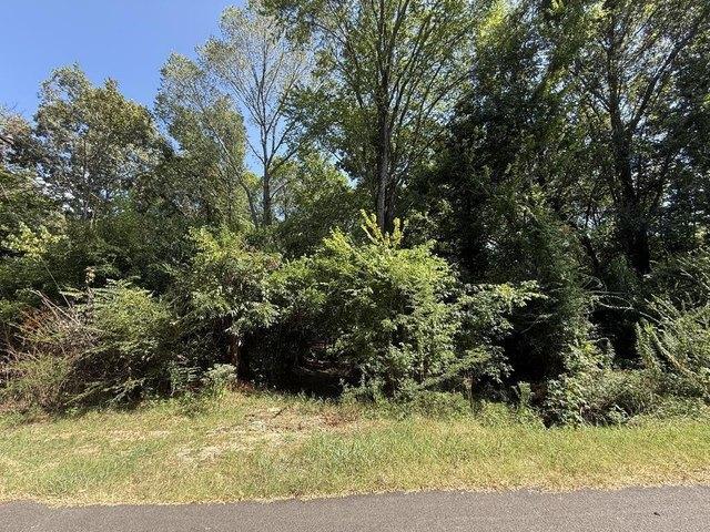 W Cook St Lots 1 & 3, Palestine, TX 75801