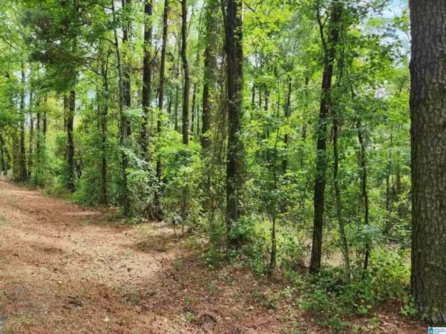 w COUNTY ROAD 10, MONTEVALLO, AL 35115 Vacant Land For Sale M.