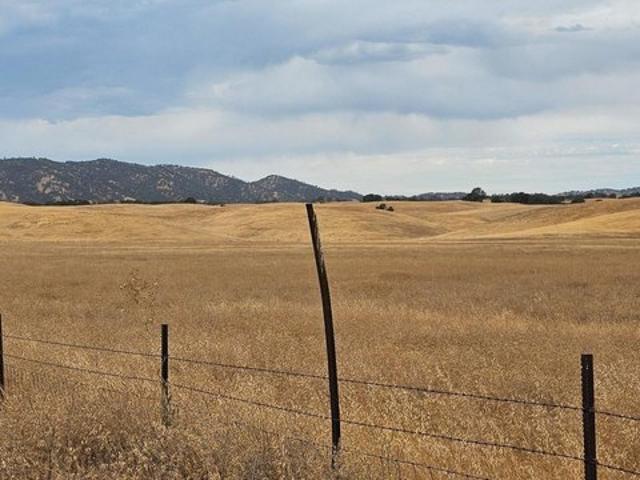 W County Road 11, Dunnigan, CA 95937