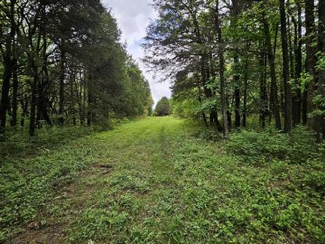 W Dade # 2, Jerico Springs, MO 64756