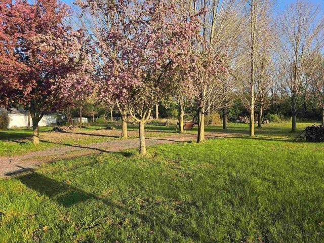 W Doyle Rd, Laingsburg, MI 48848