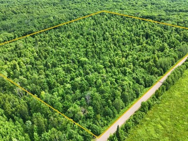 W Eckel Ln, Couderay, WI 54835