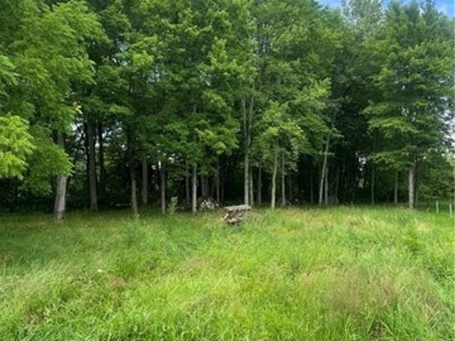 W Egypt Rd, Minerva, OH 44657