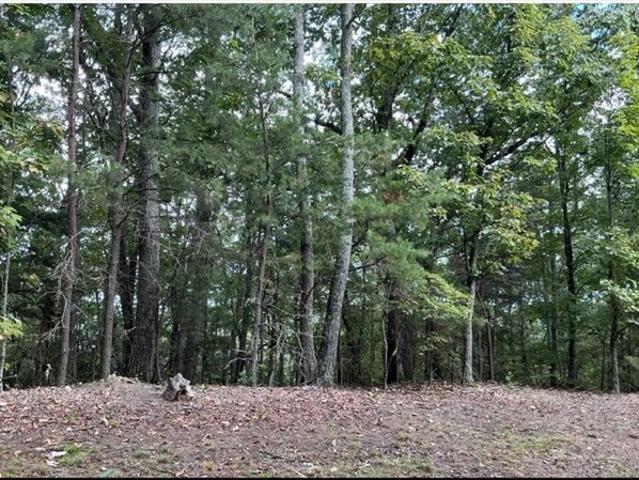 W Farmview Rd, Talking Rock, GA 30175