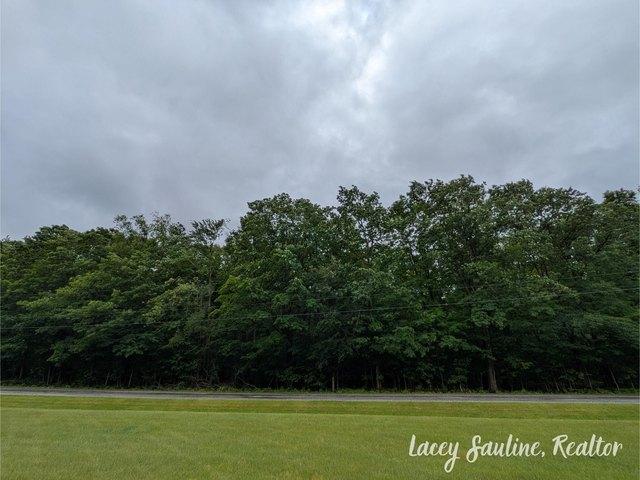 W Finkle Rd, McBain, MI 49657
