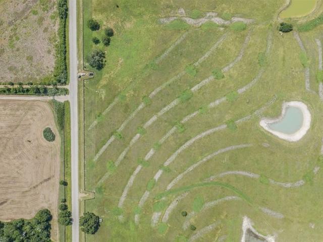 W Fm 1291 Tract # 4, Round Top, TX 78954